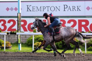 Don’t Look Down Spins At Kempton - Dean Ivory Racing