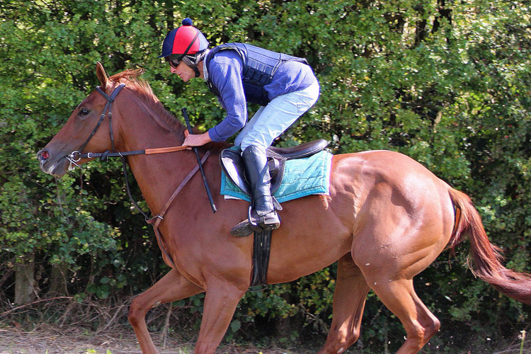Three Year Olds - Dean Ivory Racing