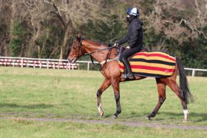 Sir Prize Doubles Up At Kempton - Dean Ivory Racing